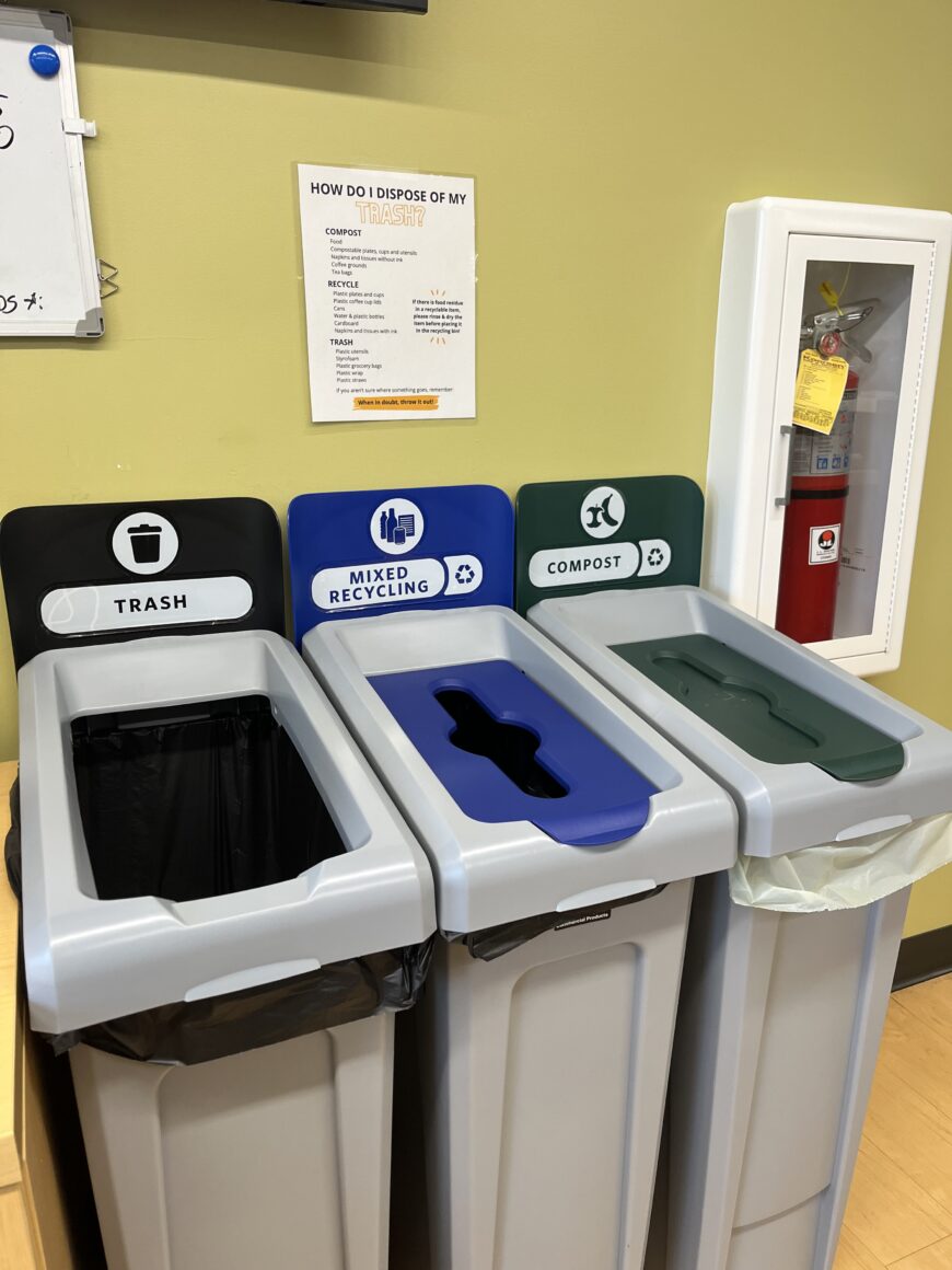 Sustainability Champions Showcase Eco-Friendly Practices Across AMI ...